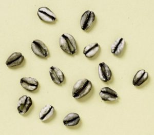 18 dates that made the history of payments